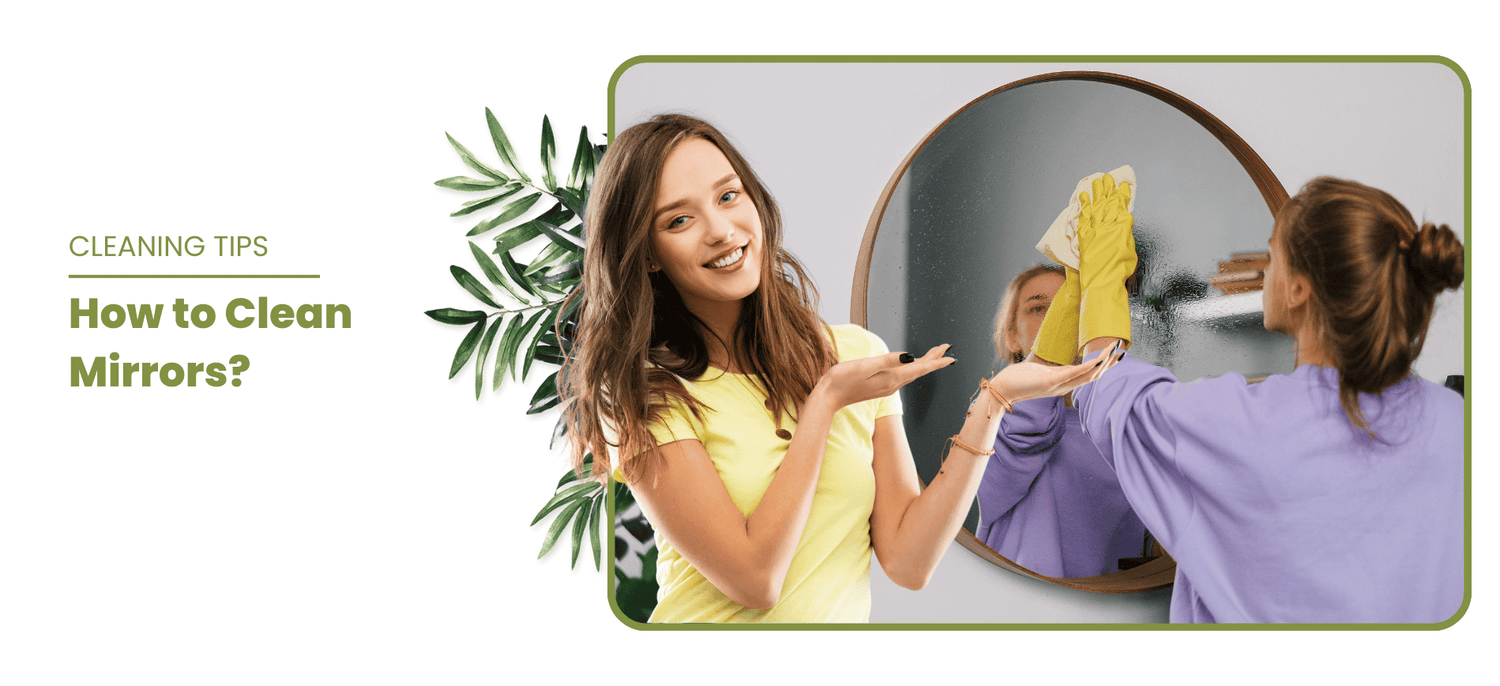How to Clean Mirrors? – GardenArch