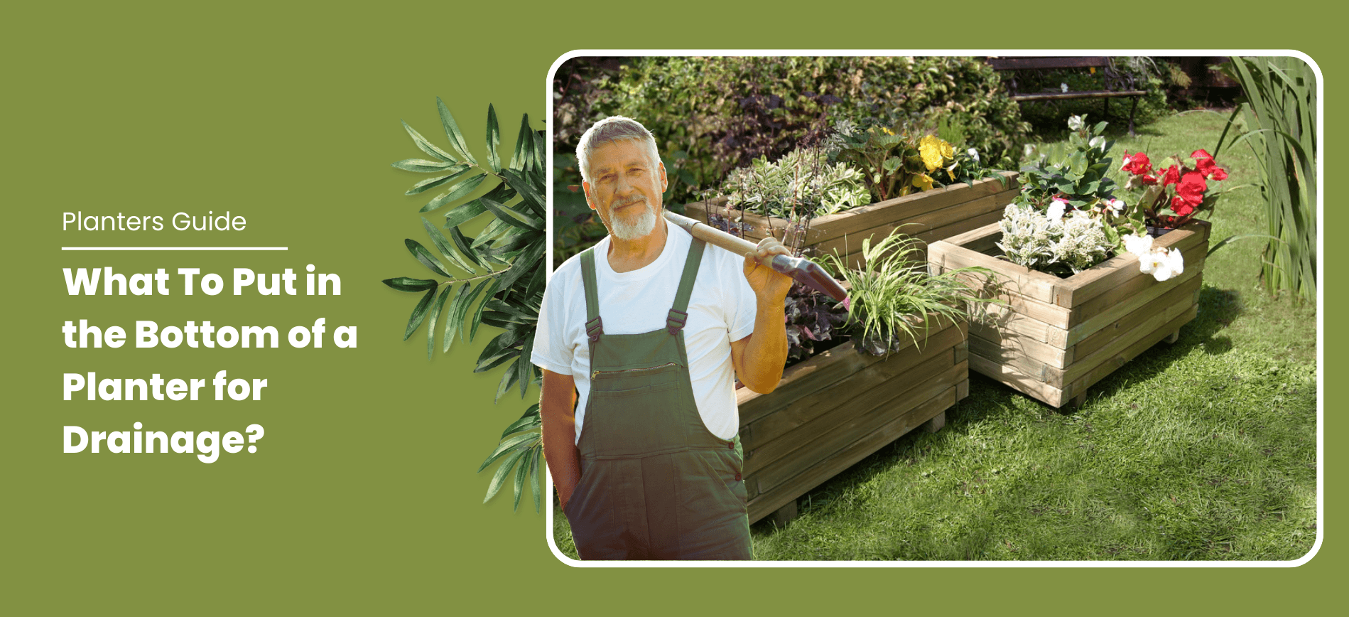 Planter Drainage Tips: Save Your Plants from Root Rot – GardenArch