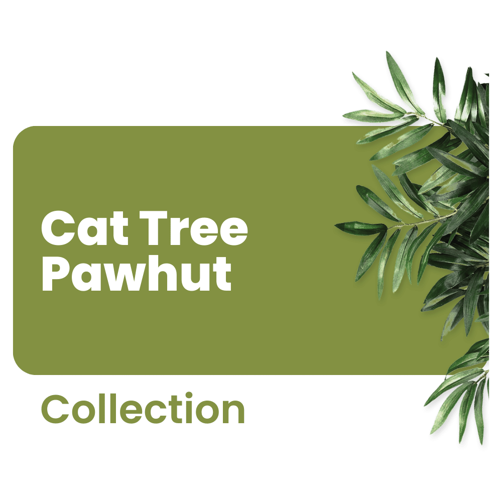PawHut Cat Trees: Create a Happy Home for Your Cat – GardenArch