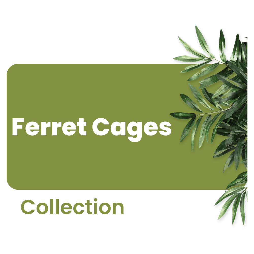 Create a Cozy Home with Our Ferret Cages – GardenArch