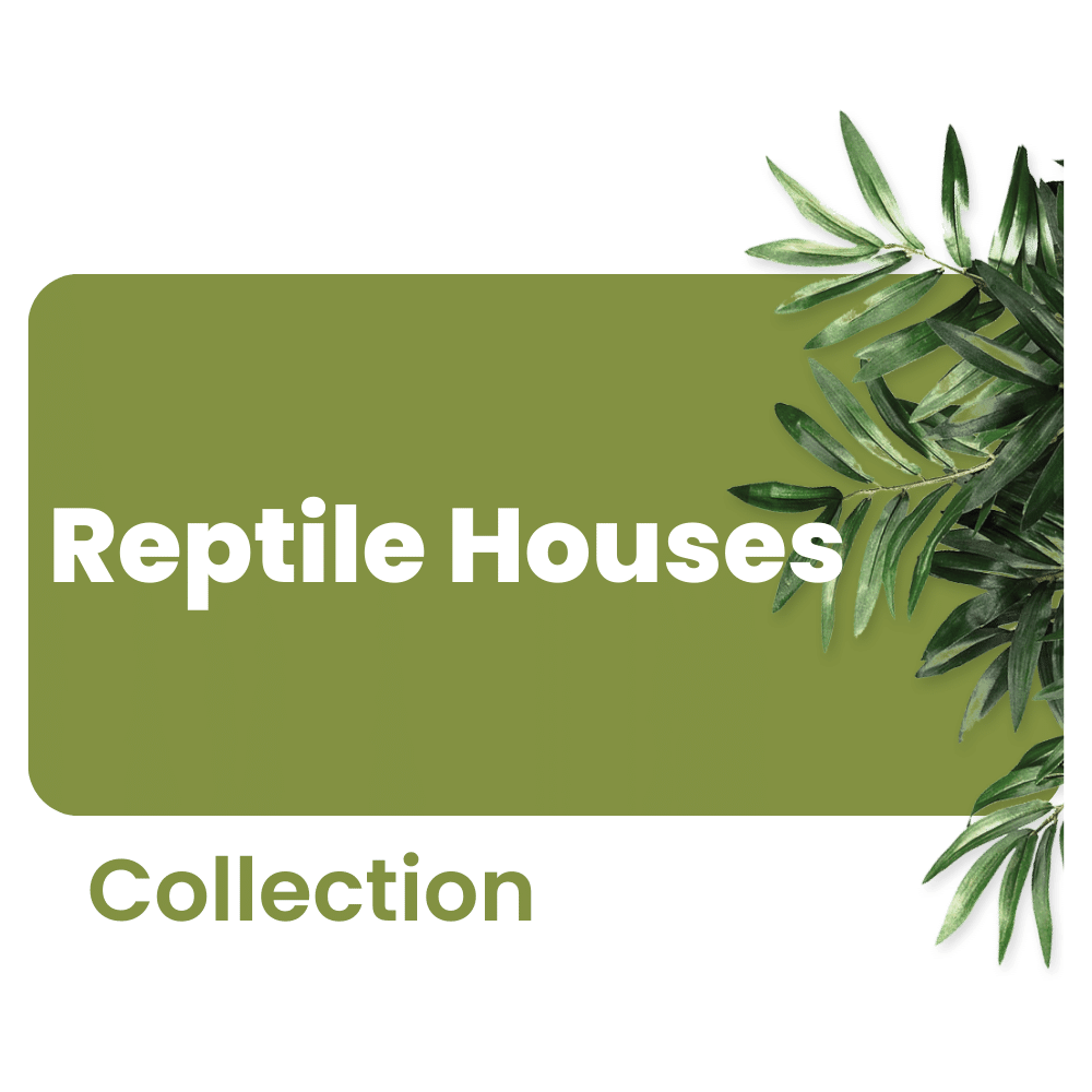 Create Your Reptile House: A Home for Your Scaly Friends – GardenArch