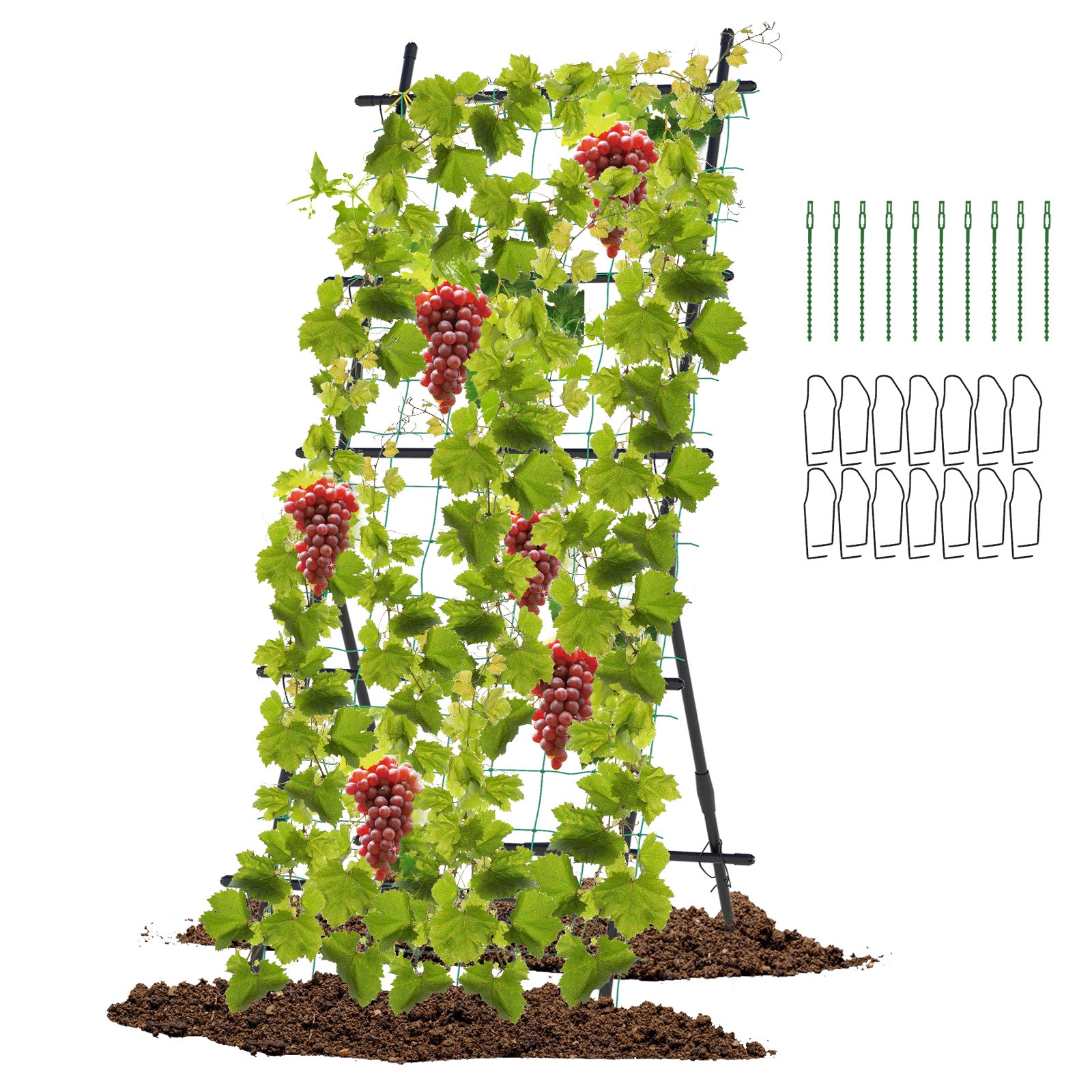 187cm Tall Garden Trellis Vertical Plant Support Stand with Netting-Bl ...