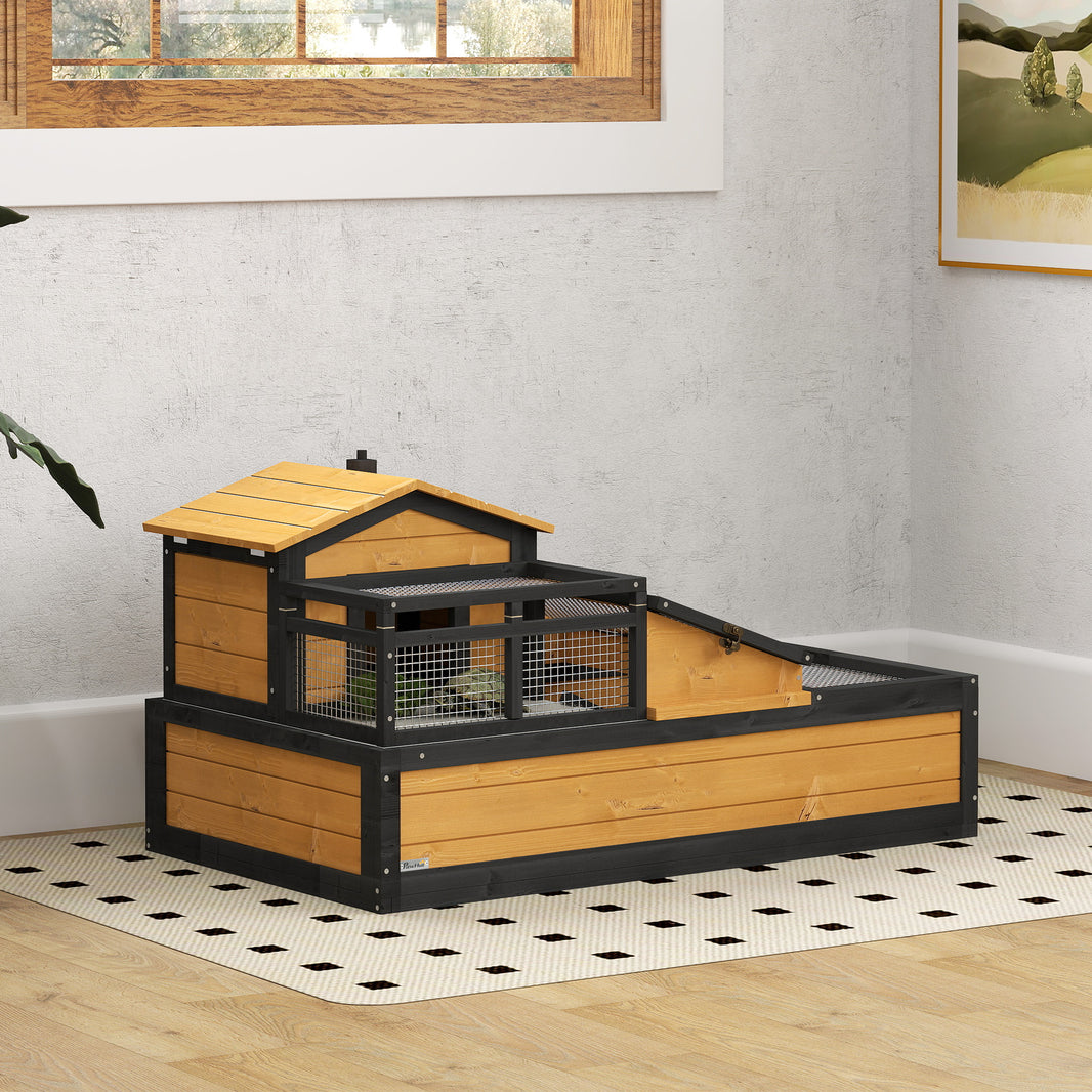 Cozy Tortoise Houses: Create a Loving Home Today – GardenArch