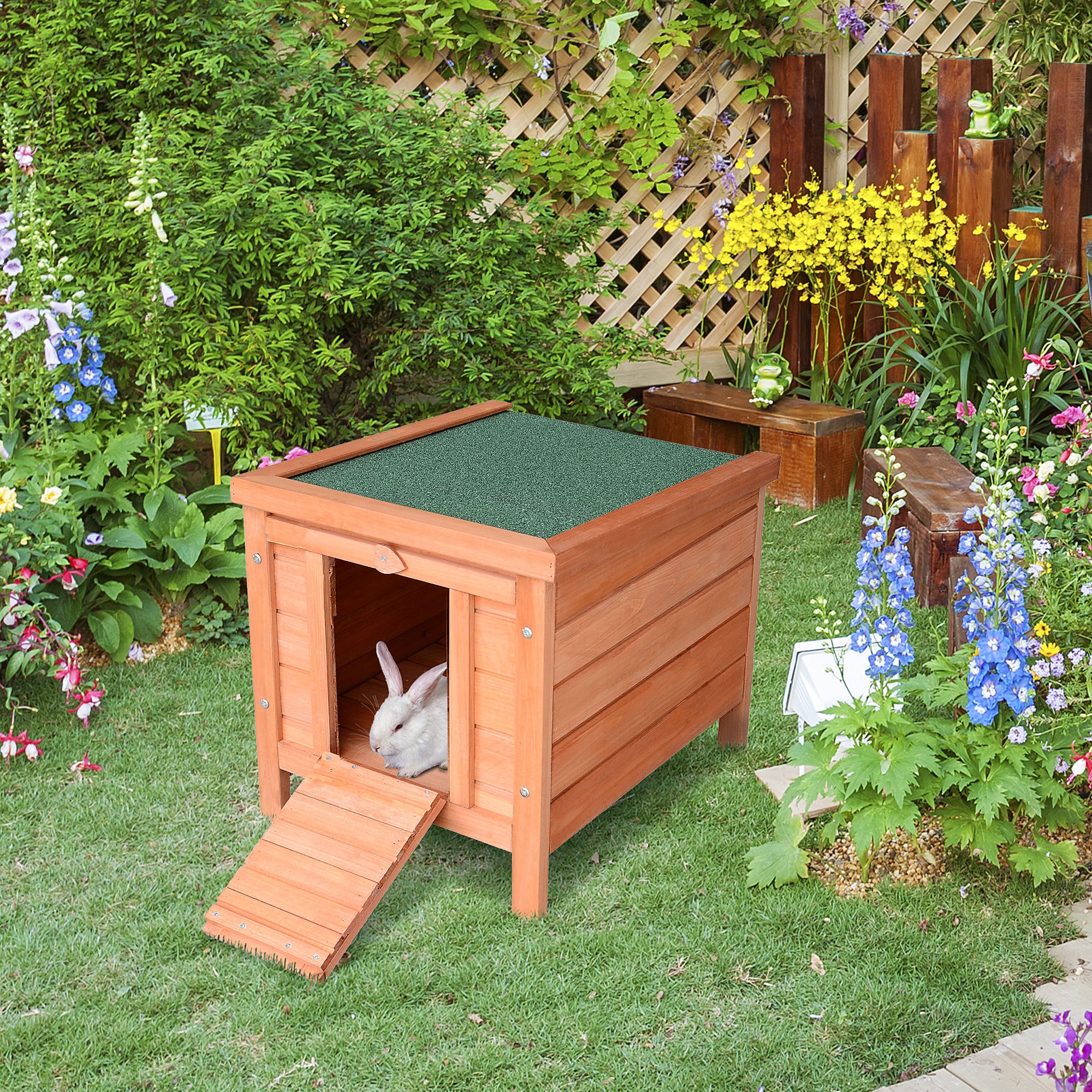 Create a Cozy Home with Our Ferret Cages – GardenArch
