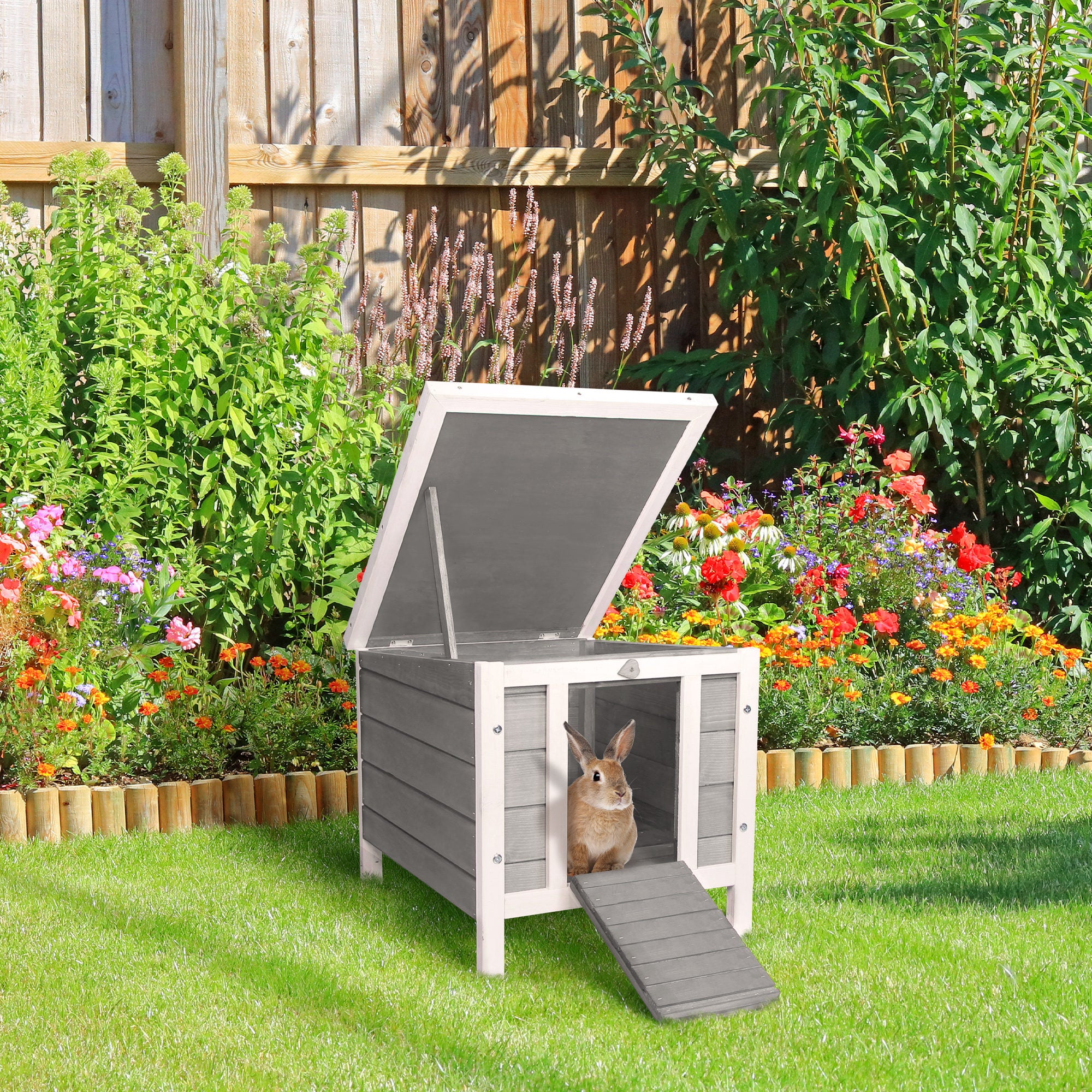 Create a Cozy Home with Our Ferret Cages – GardenArch